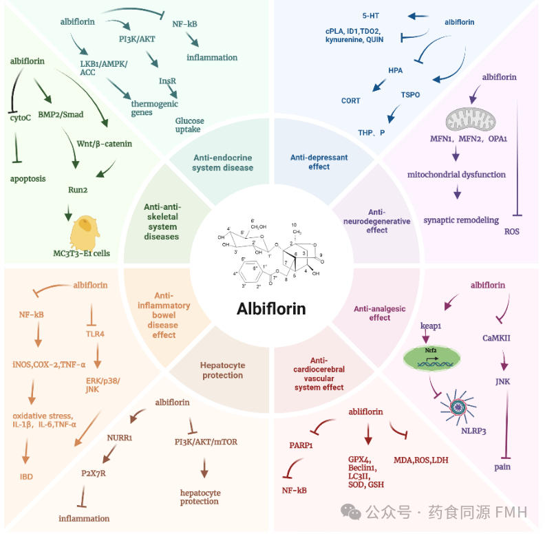 FMH | 北京中医药大学林生研究员课题组：芍药内酯苷生物功能研究进展-国家食用菌加工技术研发专业中心